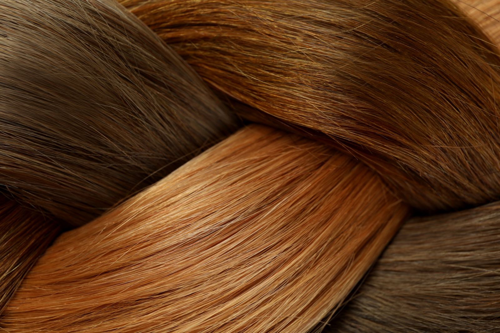 Qu'est-ce que la porosité des cheveux ? - Luxéol